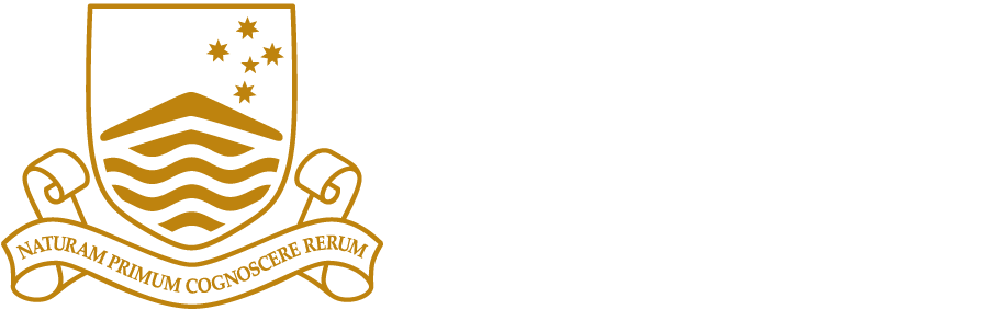 Entangled Bowing: Integrating the MetaBow into Spatialized Composition ...